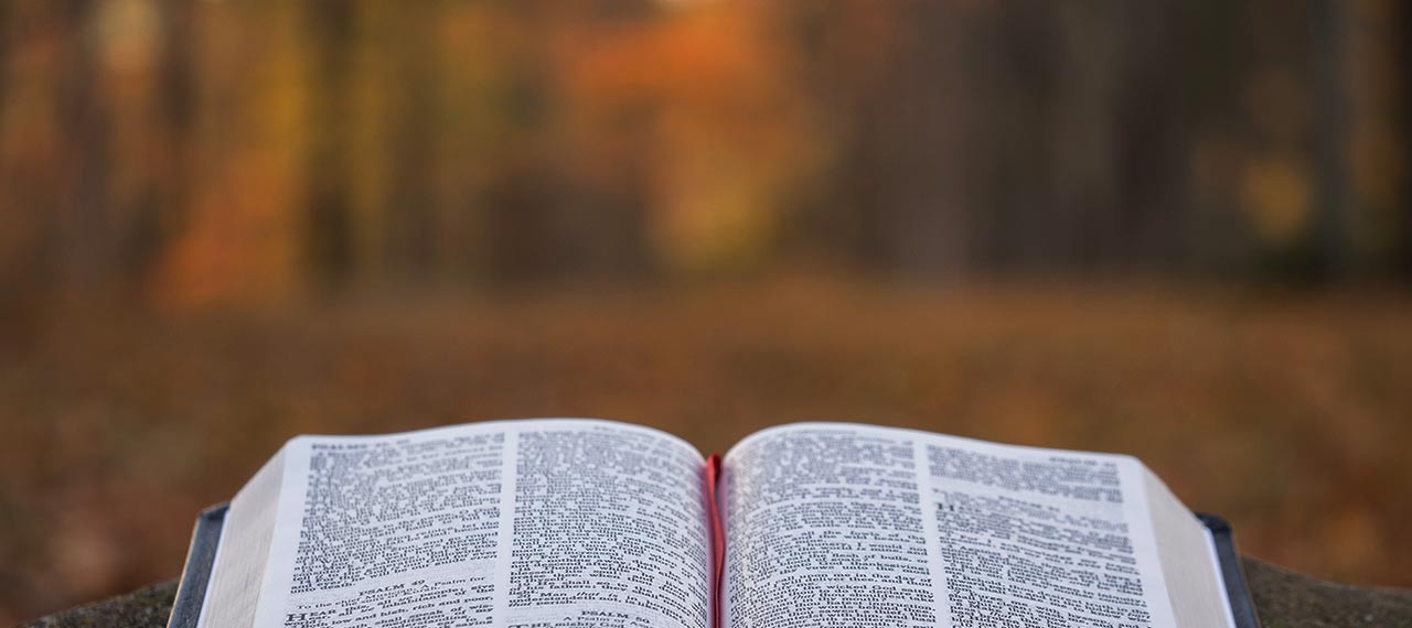 The Easy Yoke and Light Burden of Yahusha Ha'Mashiach: A Contextual ...